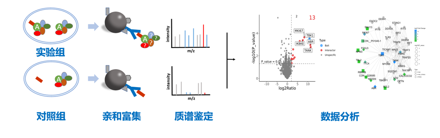 明星产品丨IP-MS蛋白互作组学解决方案